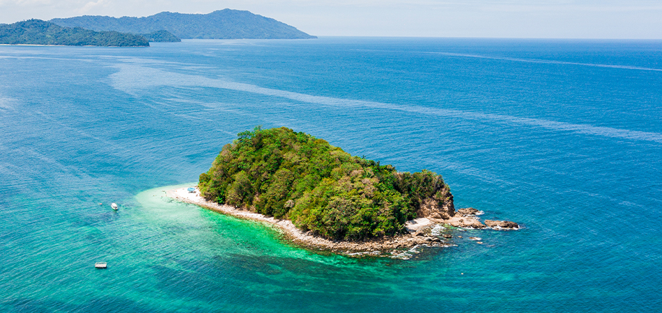Kawa Kawa Wetland River Cruise, Likas City Mosque , Salut Pudding ...